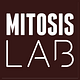 Mitosis LAB