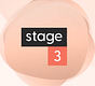 Stage 3