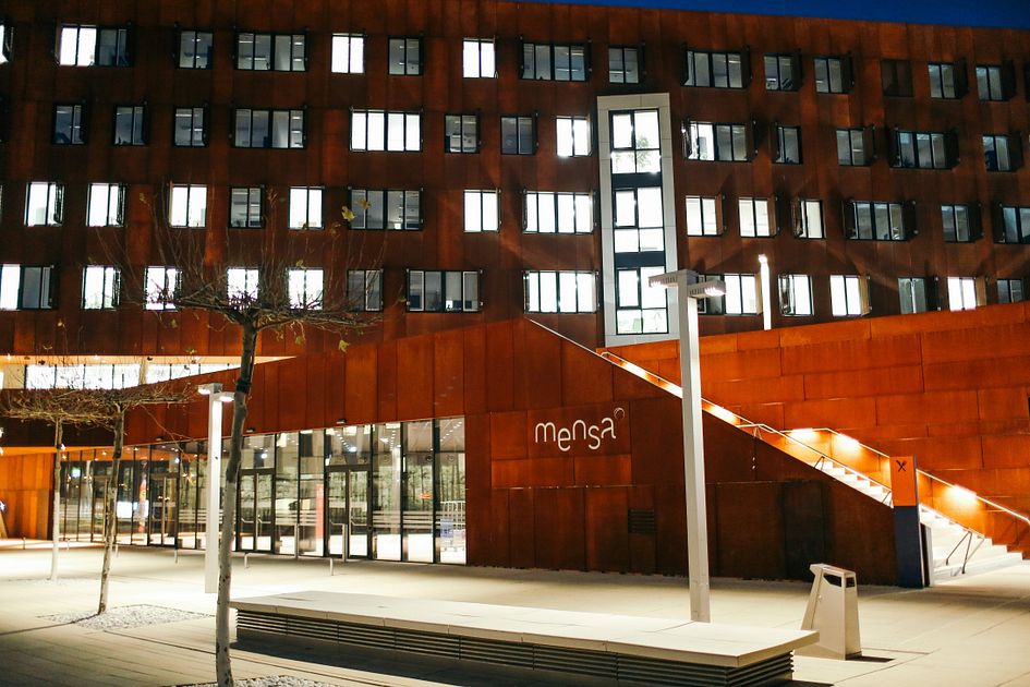 mensa